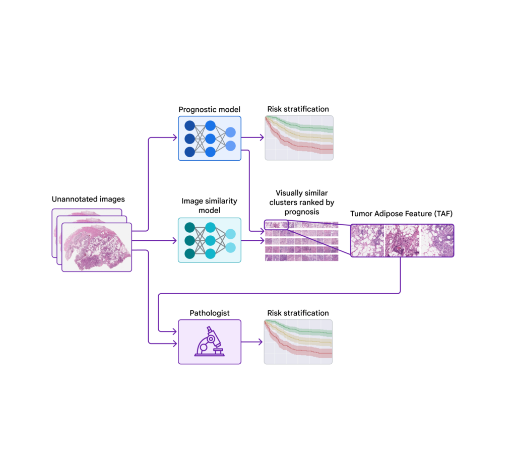 Learning from deep learning: a case study of feature discovery and ...